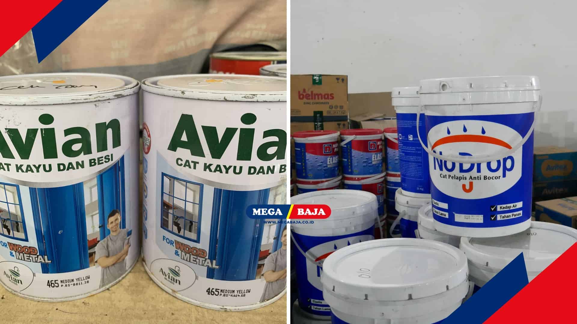 Review Cat Avian: Kegunaan, Produk, dan Keunggulannya