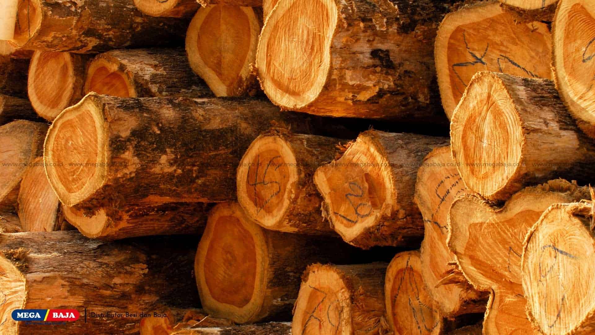Perbandingan Kayu Jati dan Kayu Bengkirai. Kira-Kira, Mana yang Lebih ...