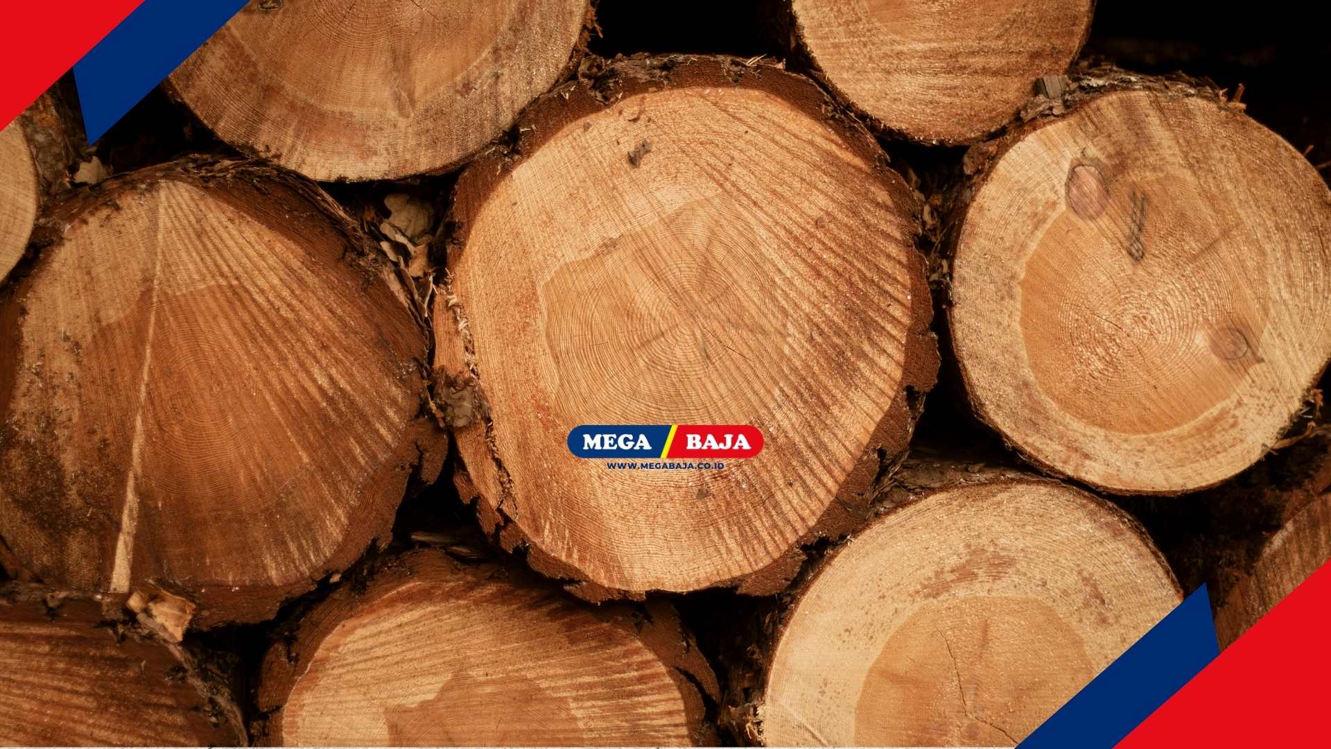 Kayu Manglid: Kegunaan, Kualitas dan Tips Merawatnya