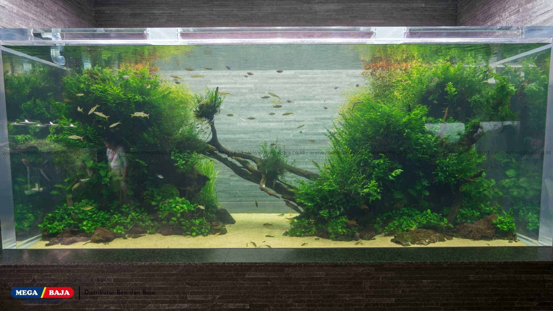 Masukkan-Ikan-Hias-ke-Aquascape - Mega Baja - Partner Konstruksi Anda ...