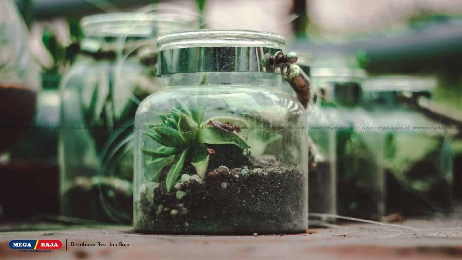 Membuat Dekorasi Rumah Bertema Alam dengan Terrarium dan Cara Membuatnya