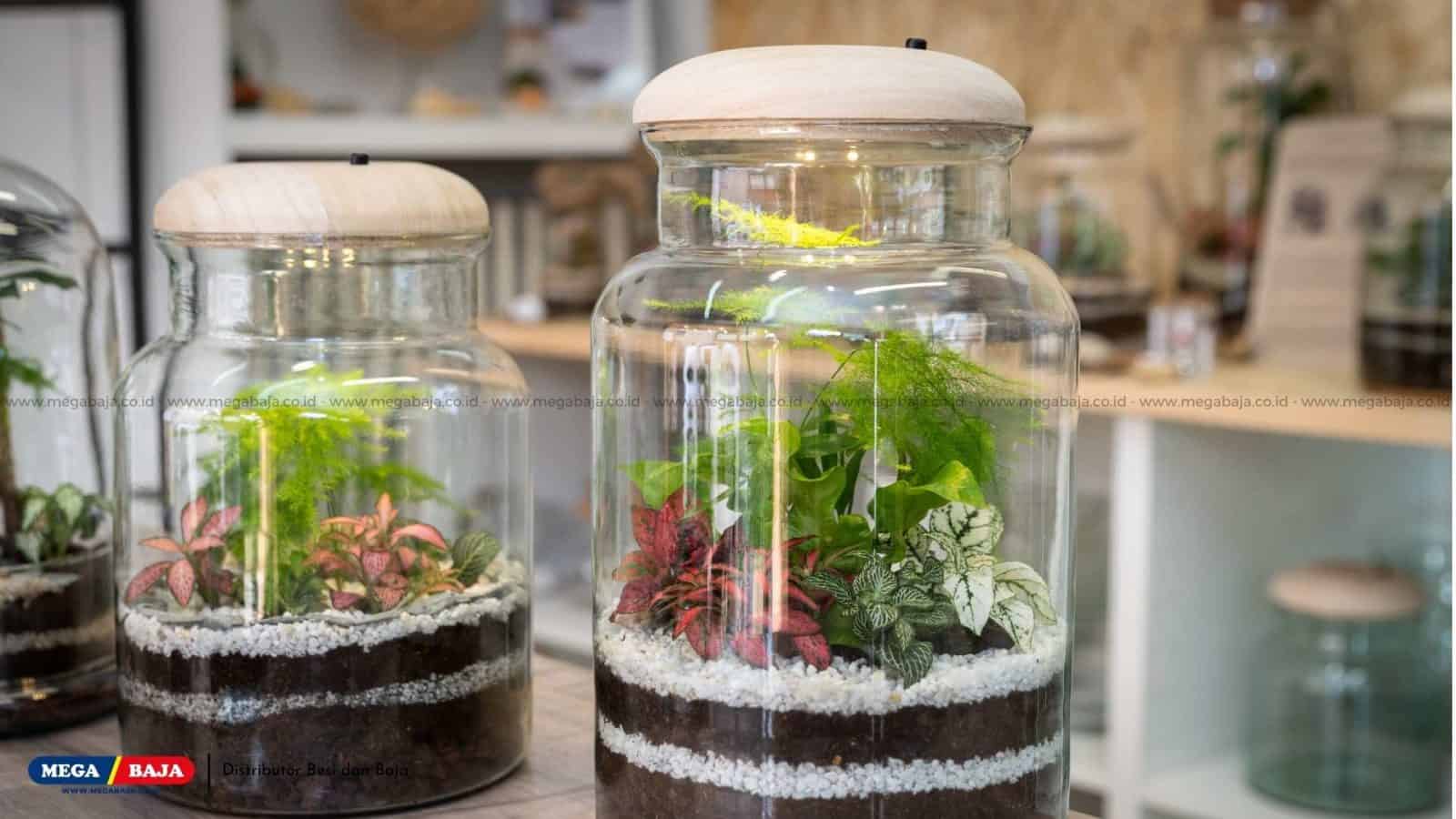 Membuat Dekorasi Rumah Bertema Alam dengan Terrarium dan Cara Membuatnya