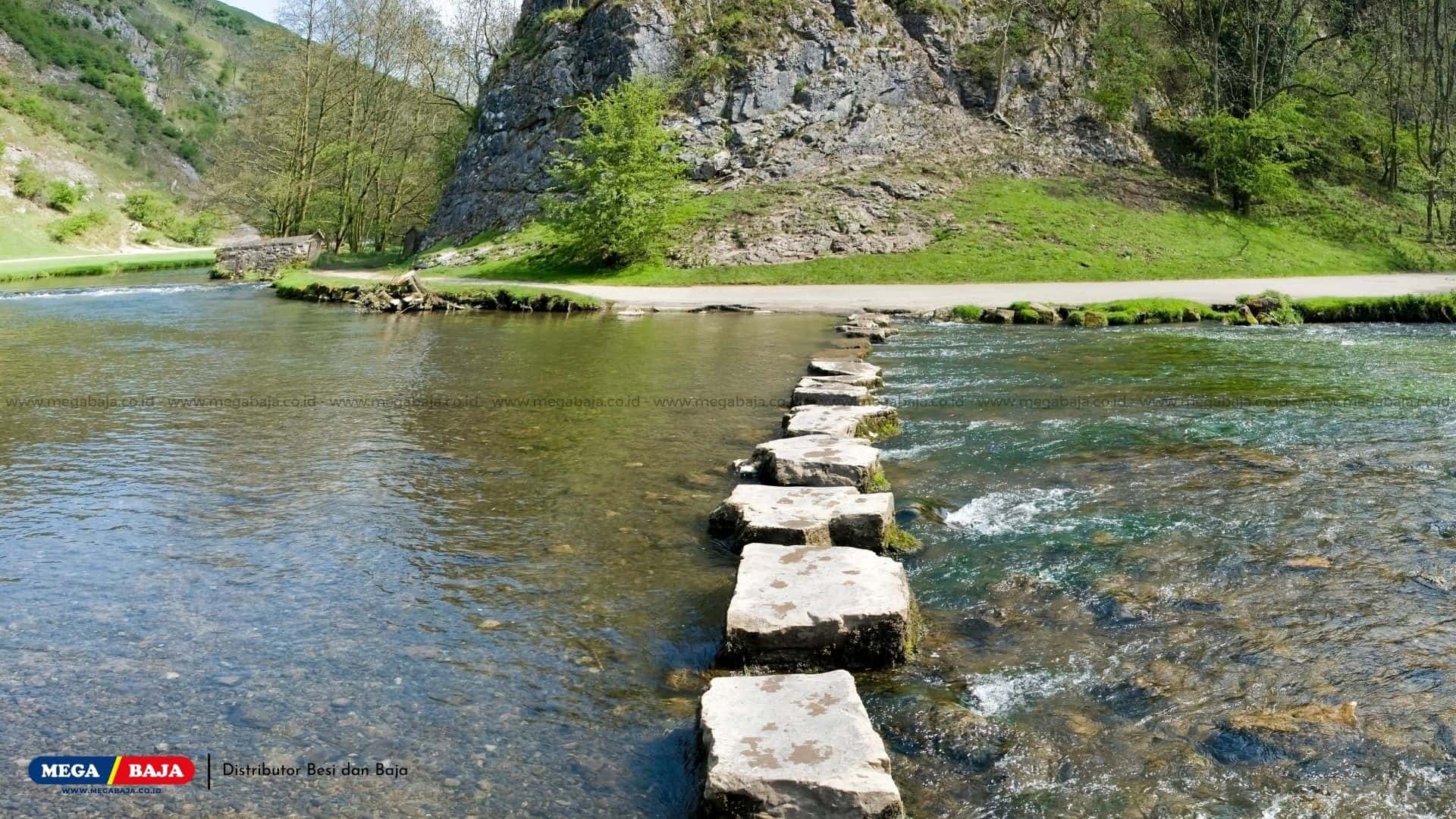 Stepping Stone: Cara Membuat dan Ide Desainnya untuk Halaman dan Taman ...
