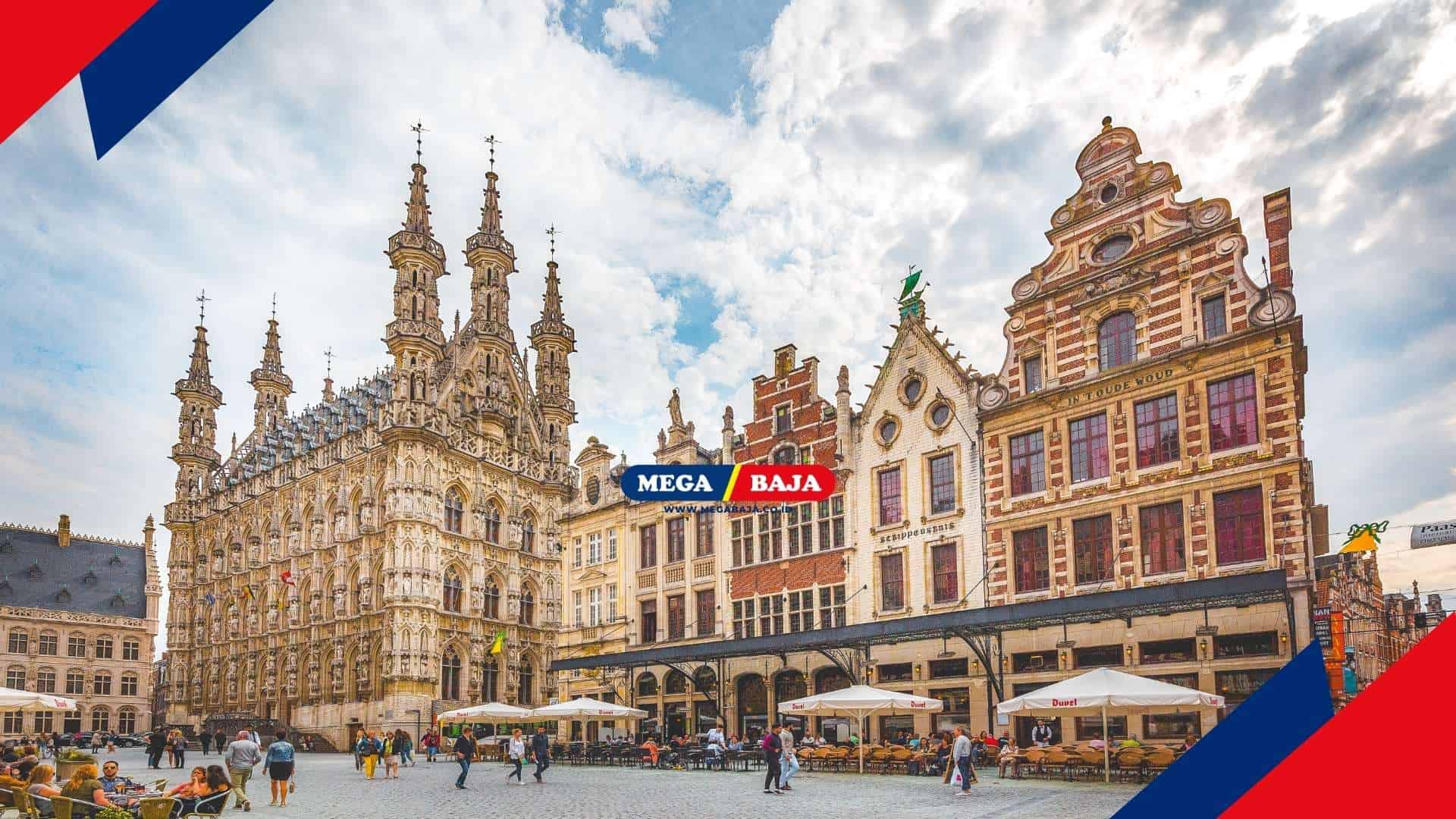 Desain Flemish dalam Interior Rumah: Kemewahan yang Berpadu dengan ...