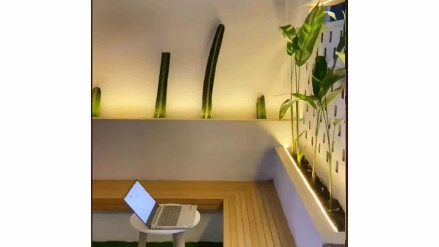 Inspirasi Taman Kering Minimalis. Solusi Lahan sempit Bagi Penikmat Tanaman