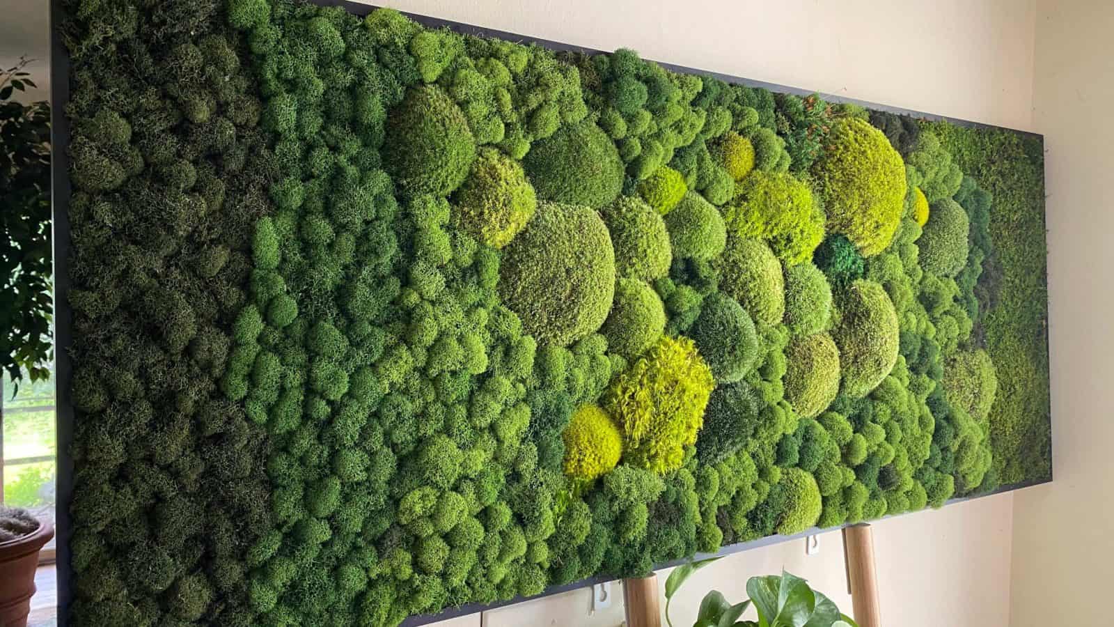 Moss Wall Art: Karya Seni Alami untuk Dinding yang Ramah Lingkungan