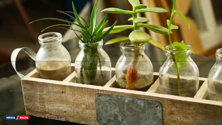 Cara Mudah Membuat Planter Box Sendiri untuk Taman Rumah yang Estetik