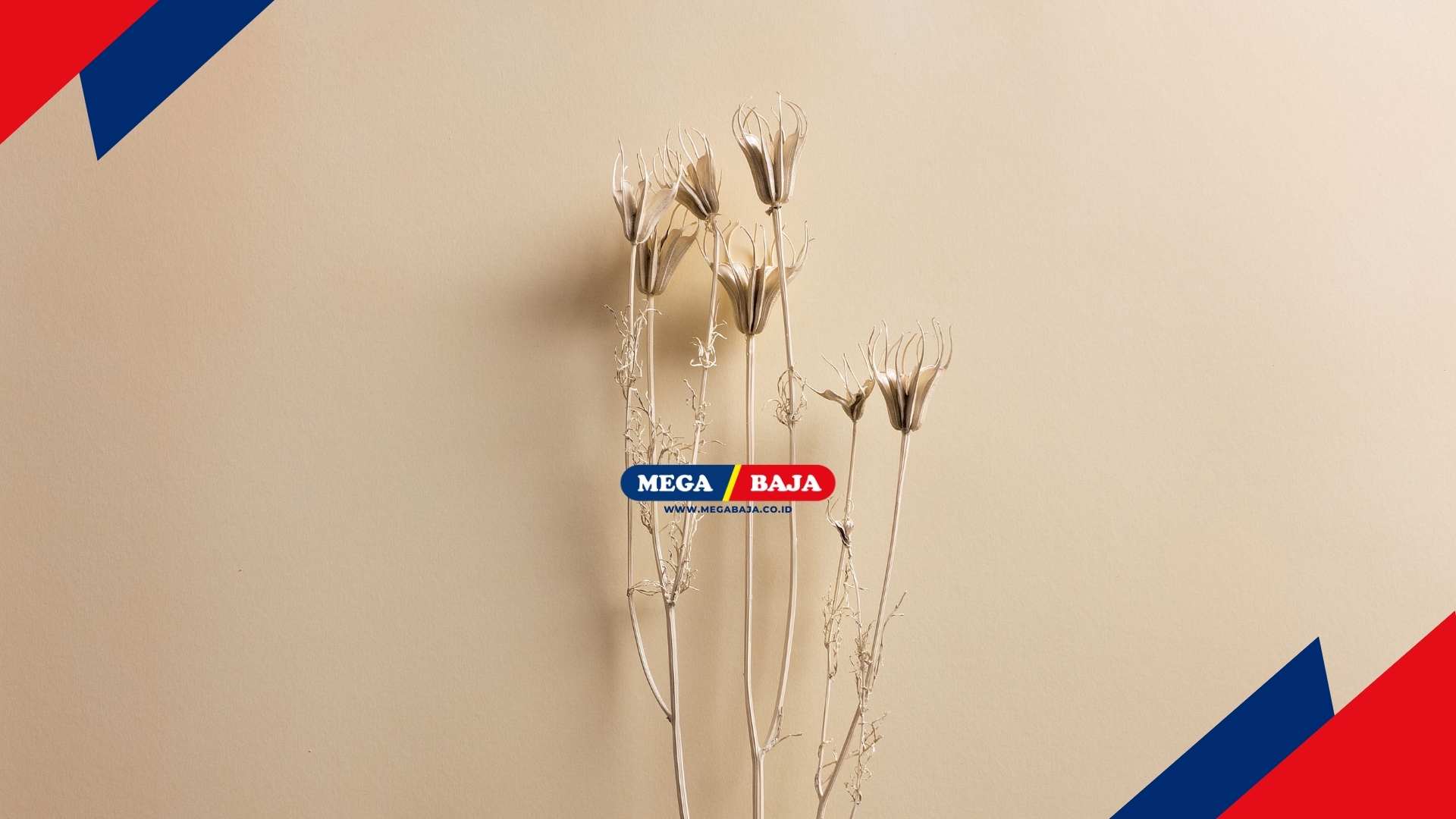 Membuat Bunga Kering Sebagai Hiasan Dekoratif Di Dalam Ruangan