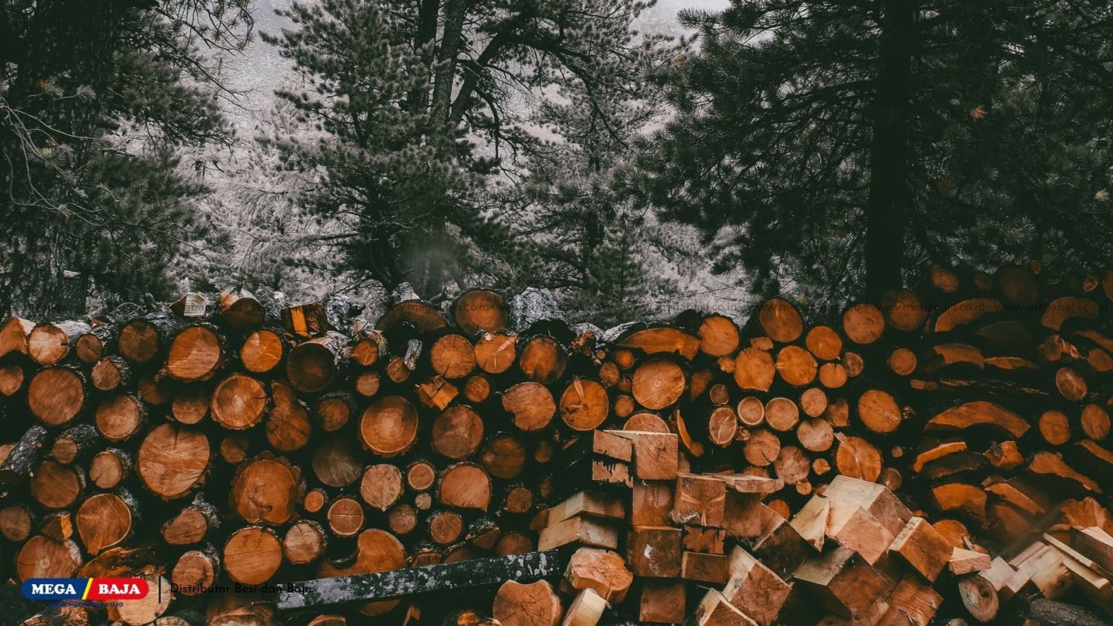 Gak Mau Kayu Cepat Rapuh? Coba 6 Teknik Pengawetan Kayu Ini!