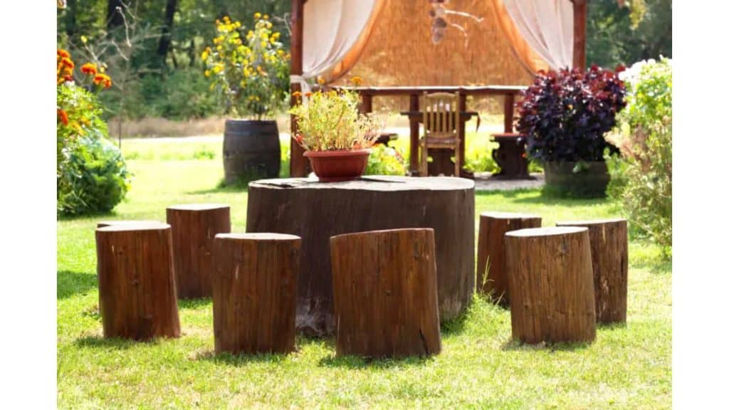 Dari Sisa Tunggul Jadi Dekorasi Baru: Ide Memanfaatkan Tunggul Pohon di ...